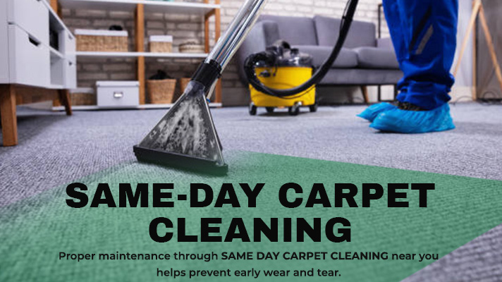 Get Fresh Carpets in Just a Few Hours