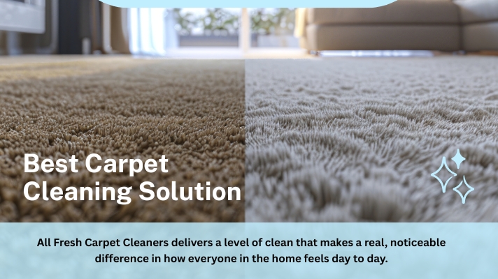 What Happens to Carpet Allergens After Six Months?